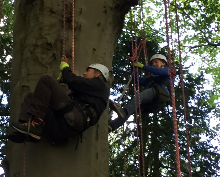 Family Tree Climbing with Ropes