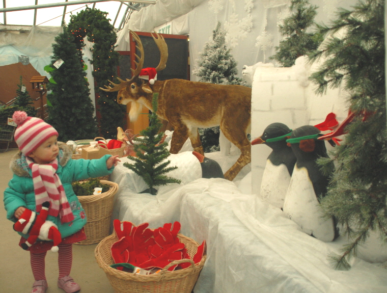 Christmas Tree Care – Save The Planet With A Real or Recycled Christmas ...