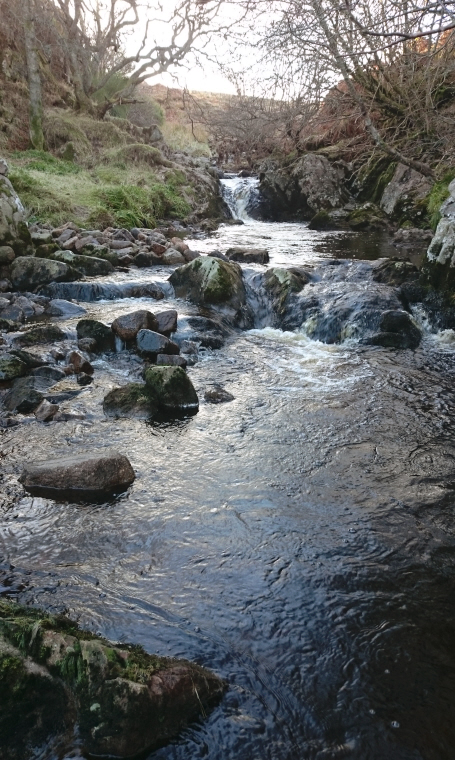 The river Breamish, near Linhope Spout, Northumberland, UK