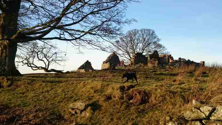 The ruins of Blawearie shepherd’s dwelling, Old Bewick Moor, Northumberland