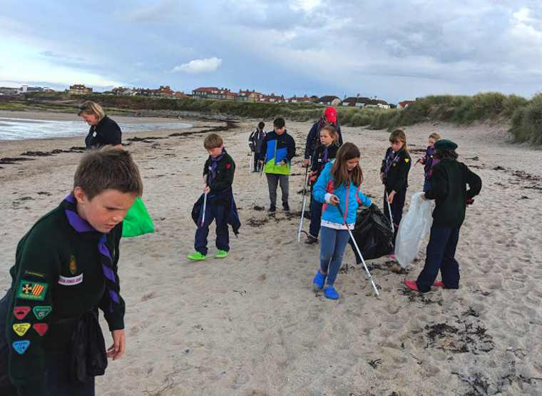 Wolf Cubs using eagle eyed spotting skills to search for litter and ...