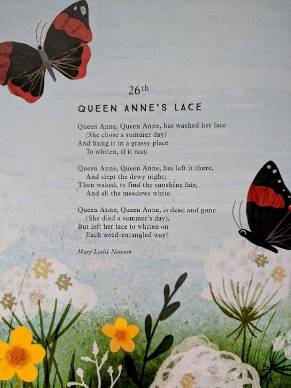 Queen Anne’s Lace illustrated poem in I am The Seed That Grew The Tree