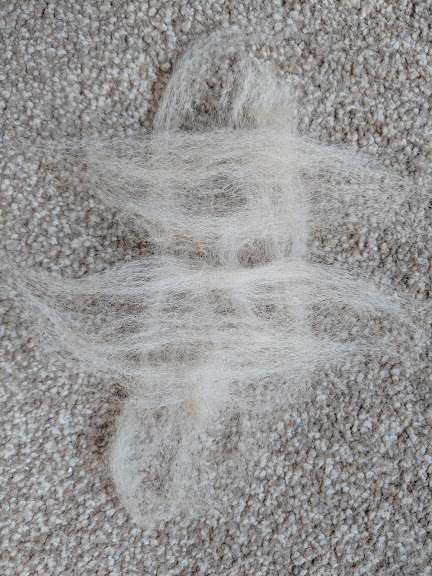 Criss-crossing the wool roving to make patches for wet wool felted feet